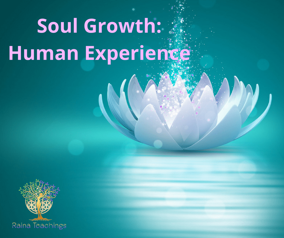 Soul Growth: Human Experience | Raina Teachings