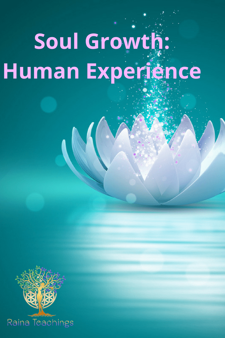 Soul Growth: Human Experience | Raina Teachings