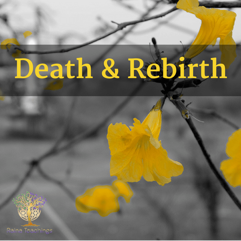 Raina Teachings Library | Raina Teachings