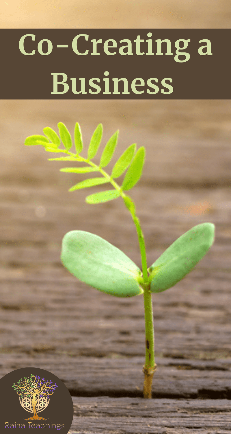 Co-Creating a Business – the Magick of Proper Alignment | Raina Teachings